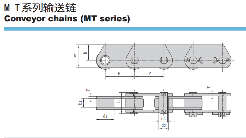 Hangzhou Donghua Chain Group Co.,Ltd. - Free CAD models - Conveyor ...