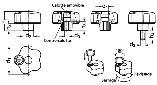 EMILE MAURIN - Archivos CAD gratuitos - 15-81 BOUTON ÉTOILE ...