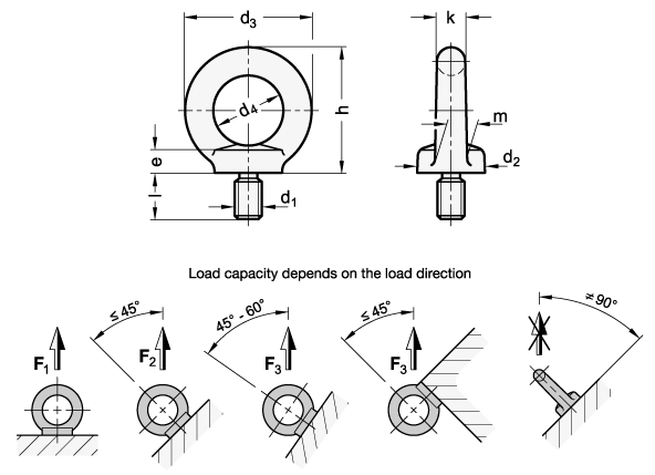 GANTER - Modelos CAD gratuitos - DIN 580 Lifting Eye Bolts, Stainless ...