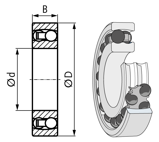 MÄDLER GmbH - Free CAD models - Self Aligning Ball Bearings SKF ®, Double Row, inner diameter 10 ...