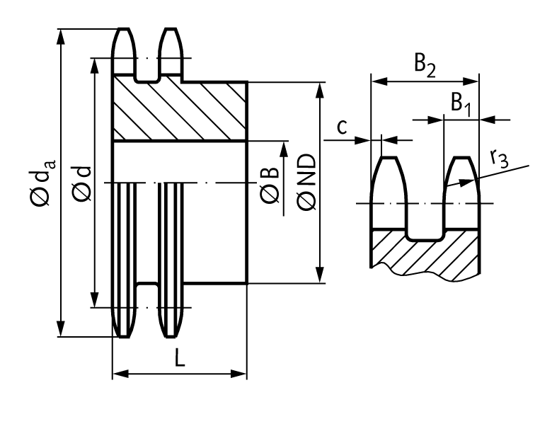MÄDLER GmbH - Free CAD models - Double-Strand Sprockets ZRS with Hub, ISO 05 B-2 - TraceParts