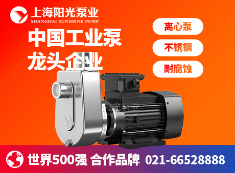 SHANGHAI SUNSHINE PUMP - Free CAD models - Shanghai Sunshine Pump SFBX ...