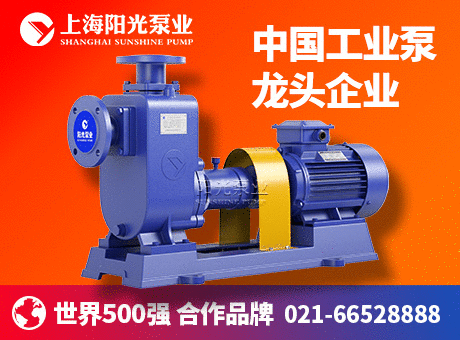 SHANGHAI SUNSHINE PUMP - Free CAD models - Shanghai Sunshine Pump ZX ...
