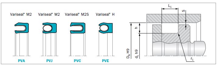 Trelleborg Sealing Solutions - Free CAD models - Turcon® Variseal® M2S ...